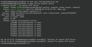 4 Steps to Install WordPress on Debian/Ubuntu Server [2025]