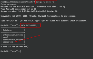 4 Steps to Install WordPress on Debian/Ubuntu Server [2024]