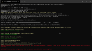 How To Check log4j vulnerability on your Web Server?
