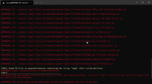 How To Check log4j vulnerability on your Web Server?