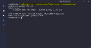 Rsync Command in action: Real-world examples of using Rsync for backups & synchronization